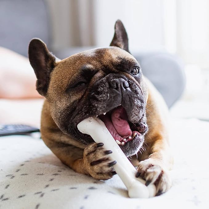 Nunbell Teething Bone Toy – Petlife