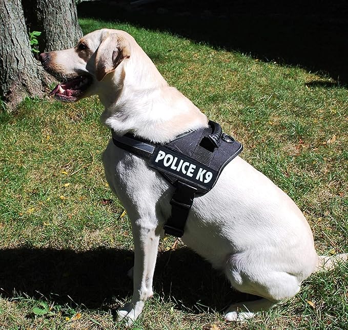 Police K9 Body Chestor – Petlife